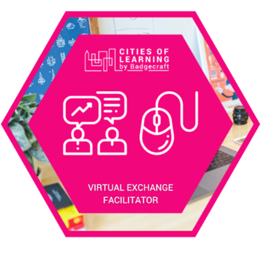 Virtual Exchange Facilitator