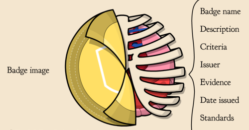 Explore characteristics of Open Badges