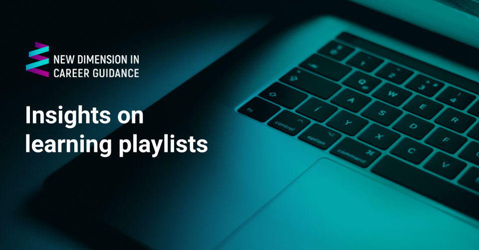 Insights on Learning Playlists for Career Development