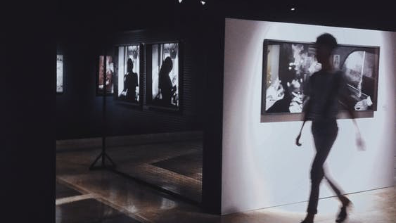 Look, Listen, Feel, Smell, Taste