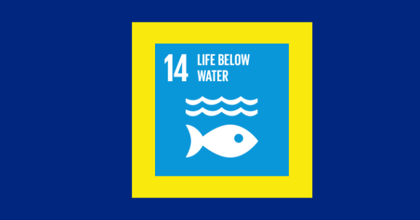 SDG14: Life below water
