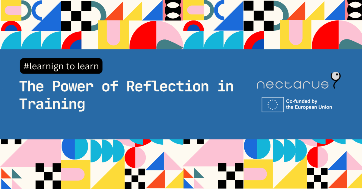 The Power of Reflection in Training